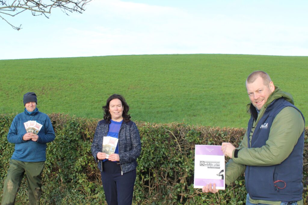 Northern Ireland badger crime remains widespread, new badger report reveals